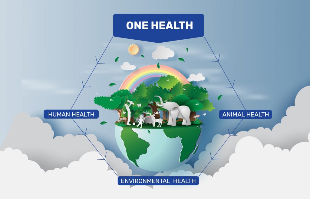 IDCM — Infectious Diseases and Clinical Microbiology
