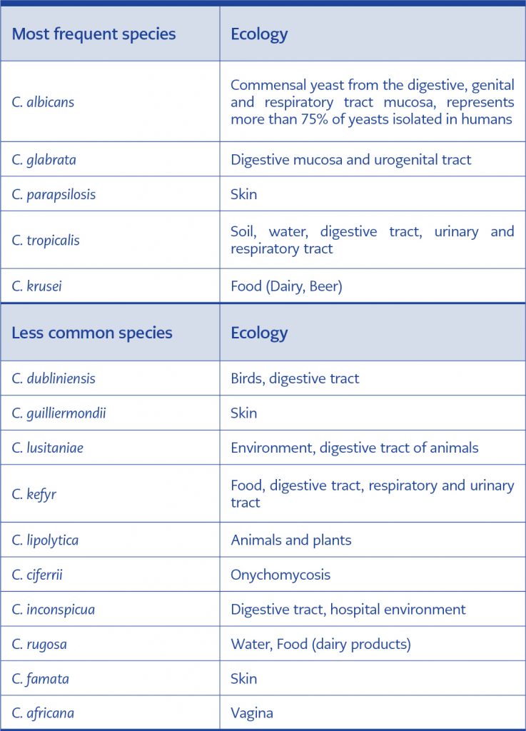 IDCM — Infectious Diseases and Clinical Microbiology